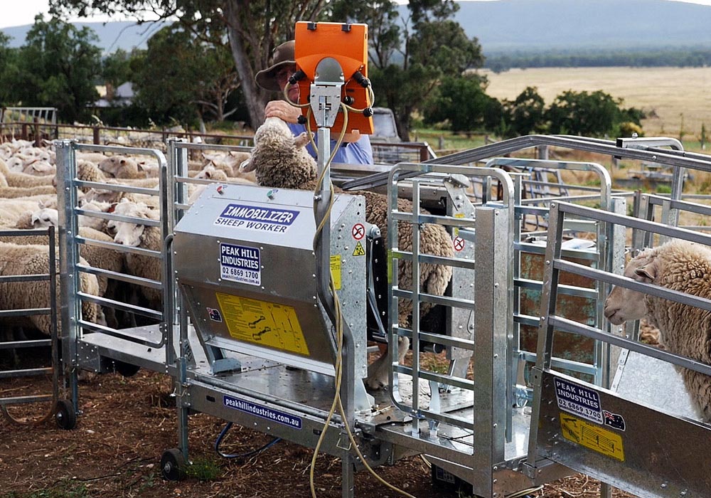 Immobilizer Sheep Handler - Clamp Squeeze - Peak Hill Industries