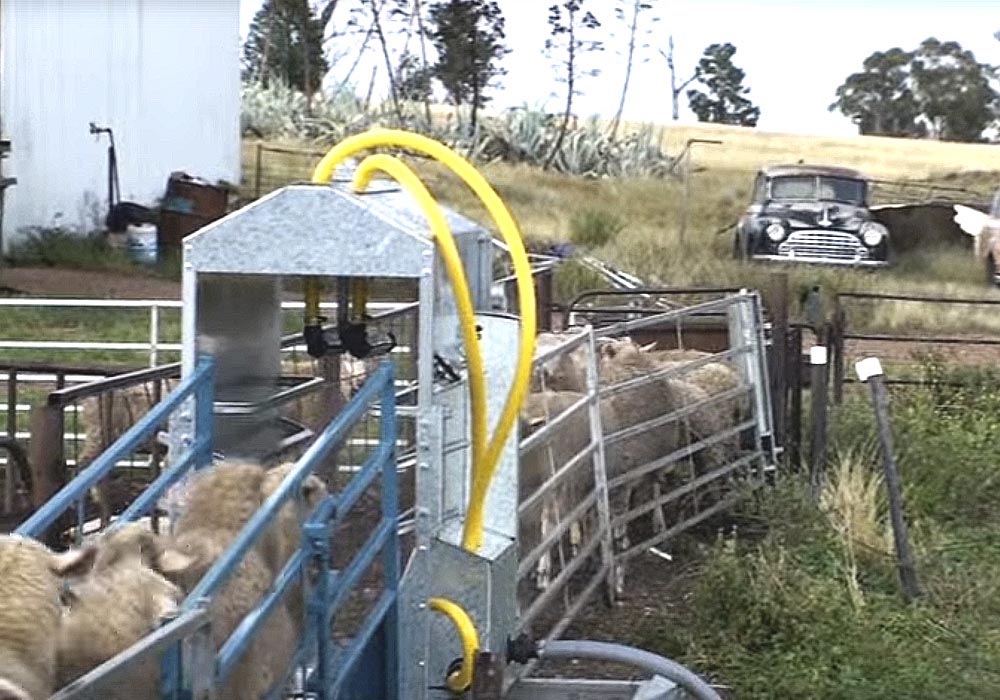 Automatic Jetting Race JetEzy - Peak Hill Industries